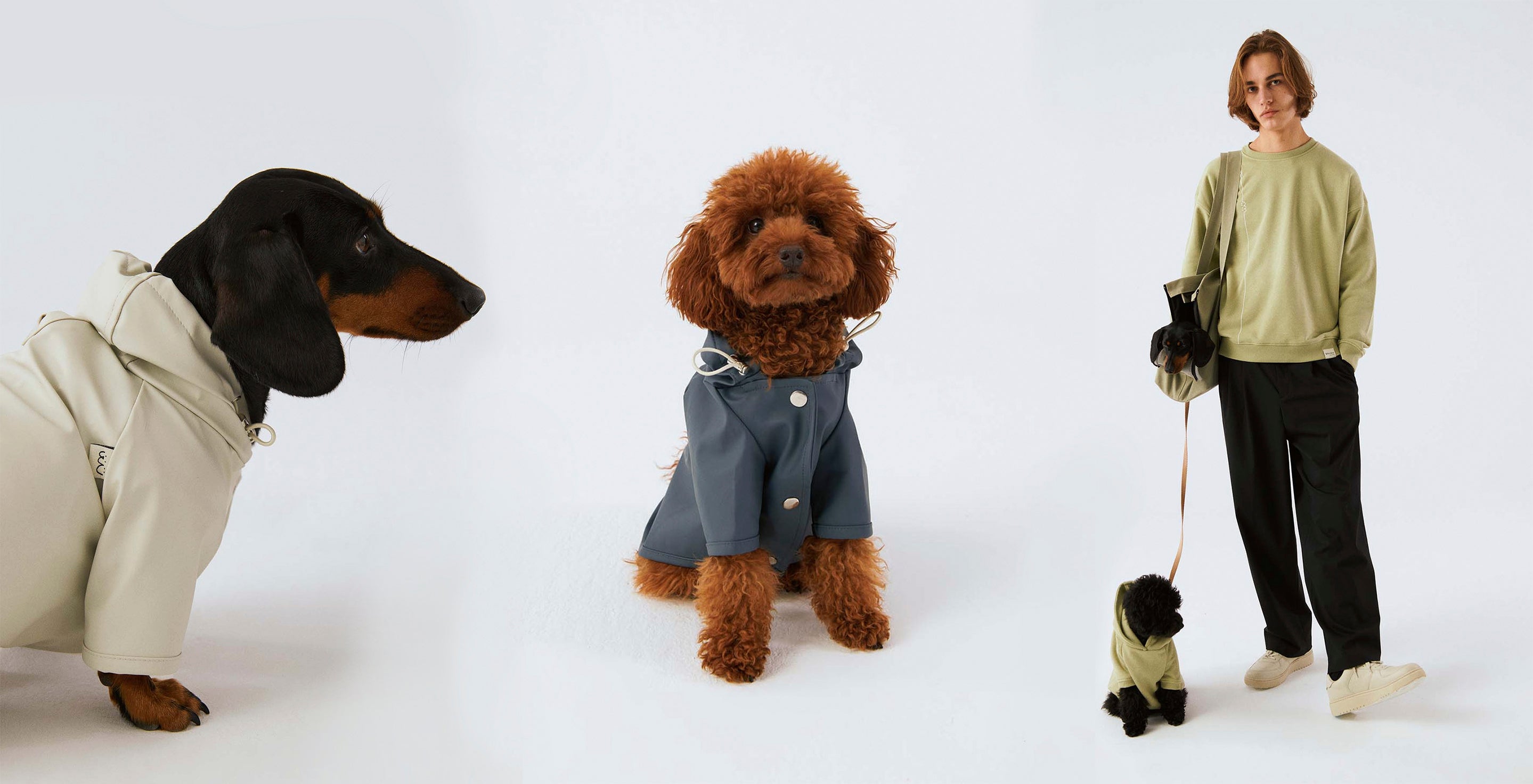 Bruno - Sustainably Matching Dogs + People